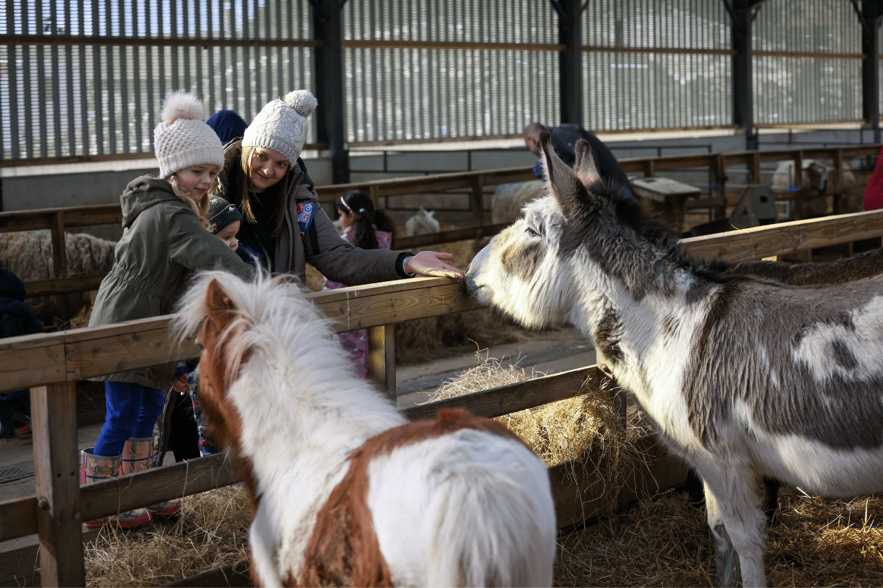 Trains To Morpeth | Morpeth to Newcastle & London | Lumo